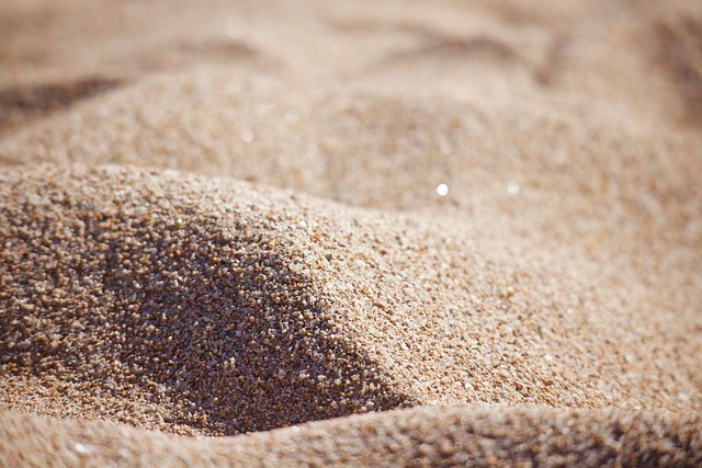 From Beach to Garden: Harnessing Sand for Hydroponic Growth – We Bought ...